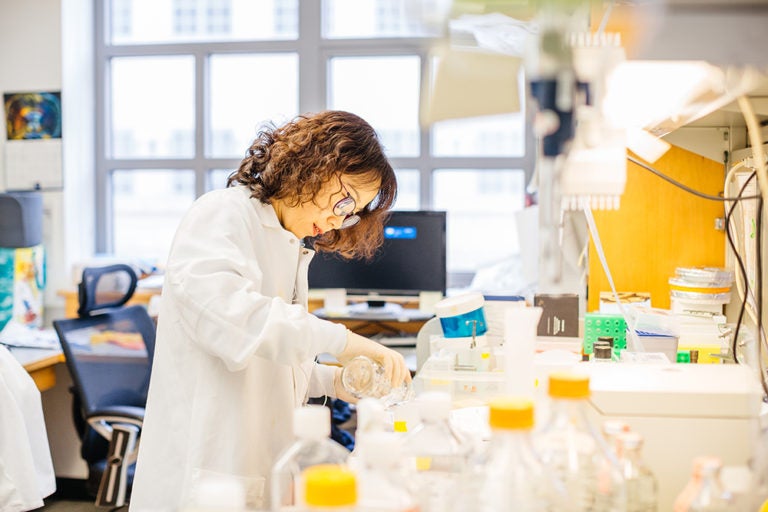 Curriculum – UCLA Center for Neurobehavioral Genetics